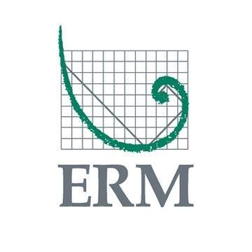 Managing Technical Consultant - Corporate Sustainability Strategy ...